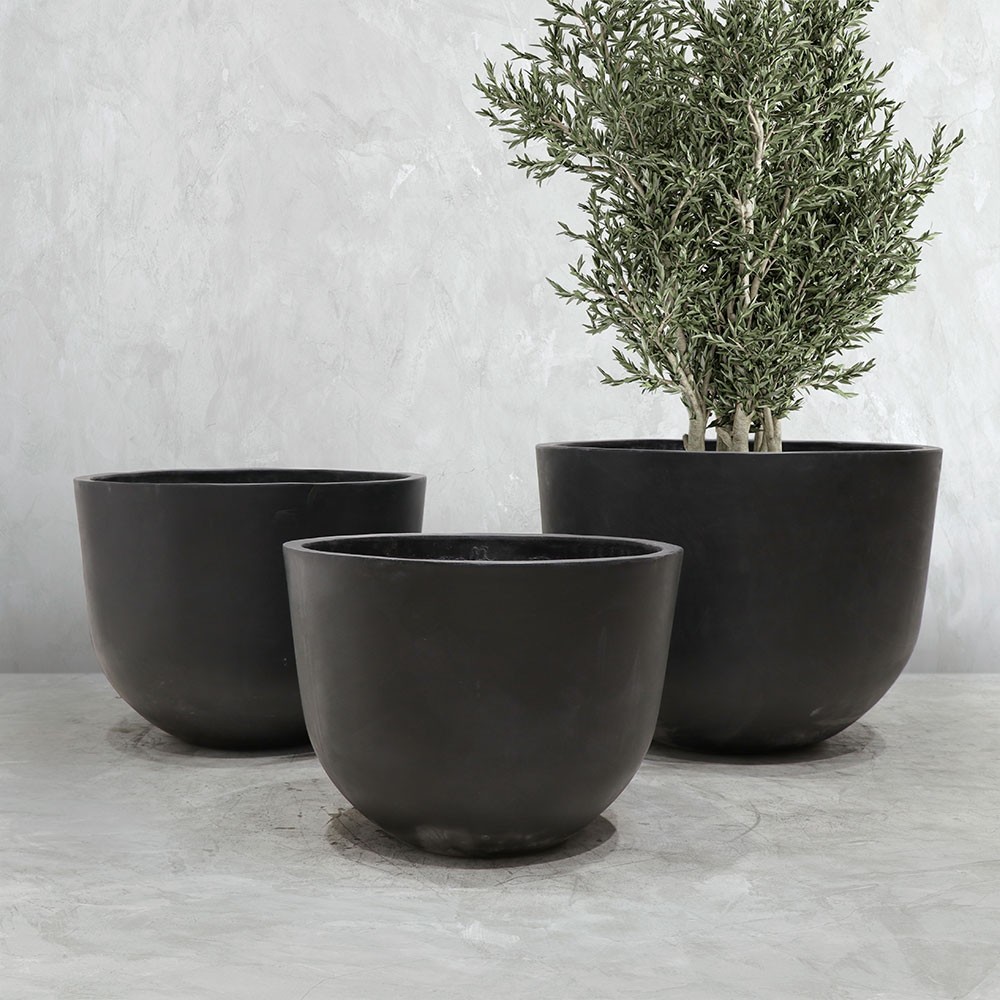 raglan-group-black | Palette Design